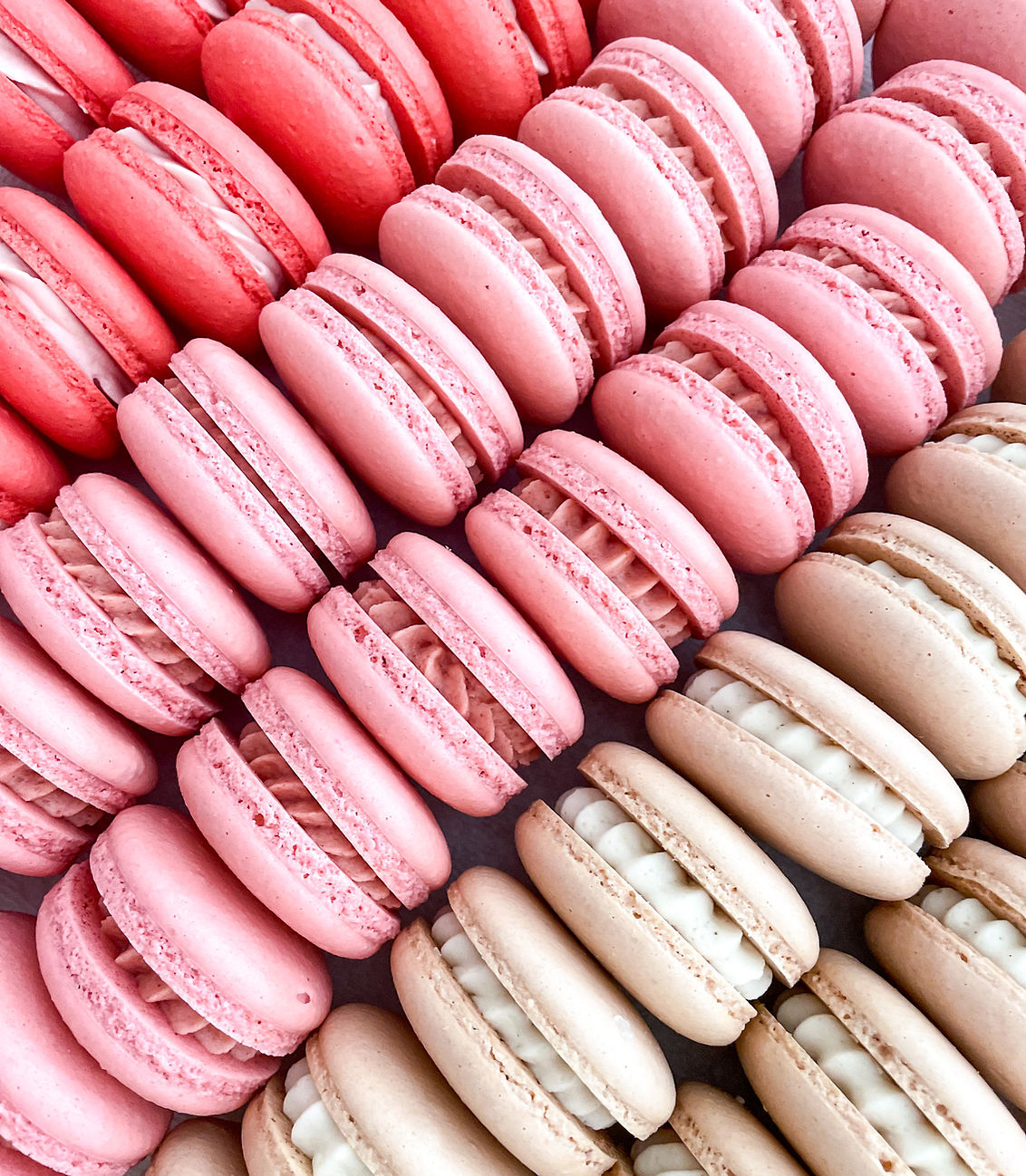 Nicholson's Nibbles | Custom Sugar Cookies & More